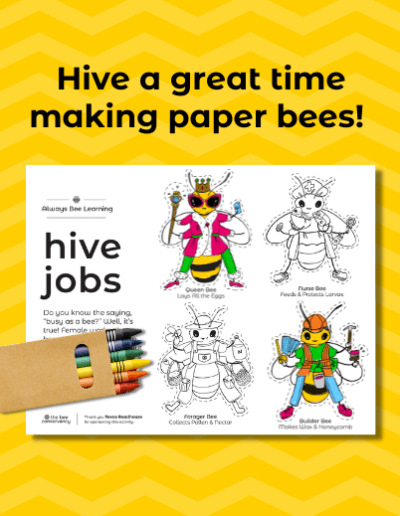 Kids Activities - The Bee Conservancy