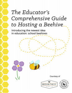 Kids Activities - The Bee Conservancy