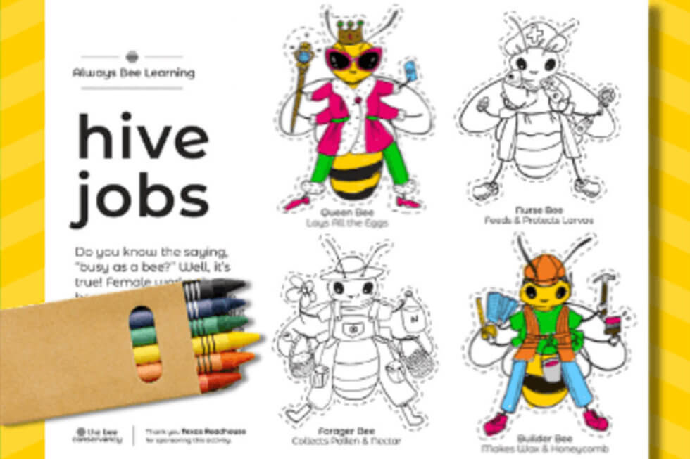 Education - The Bee Conservancy