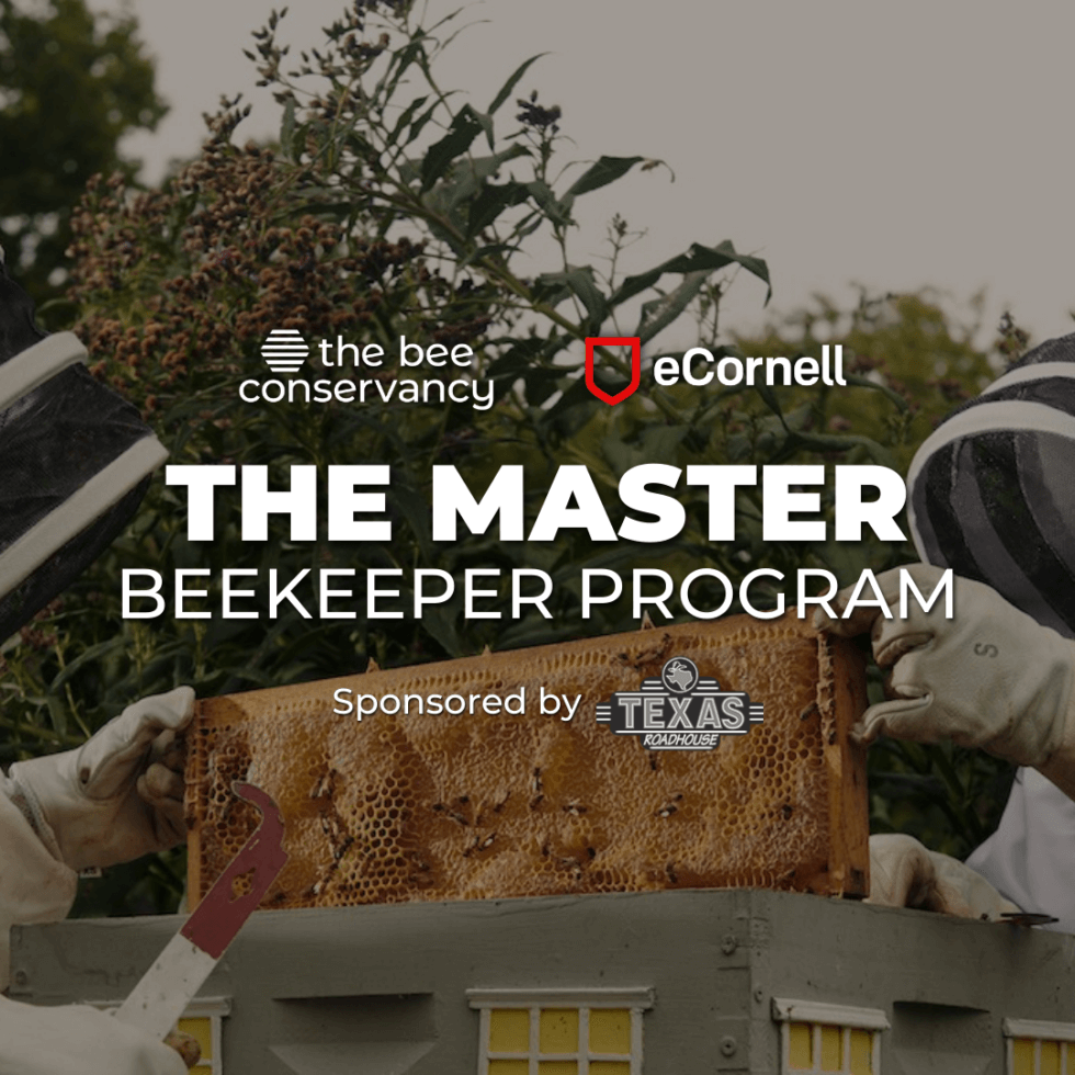 Master Beekeper Program - The Bee Conservancy